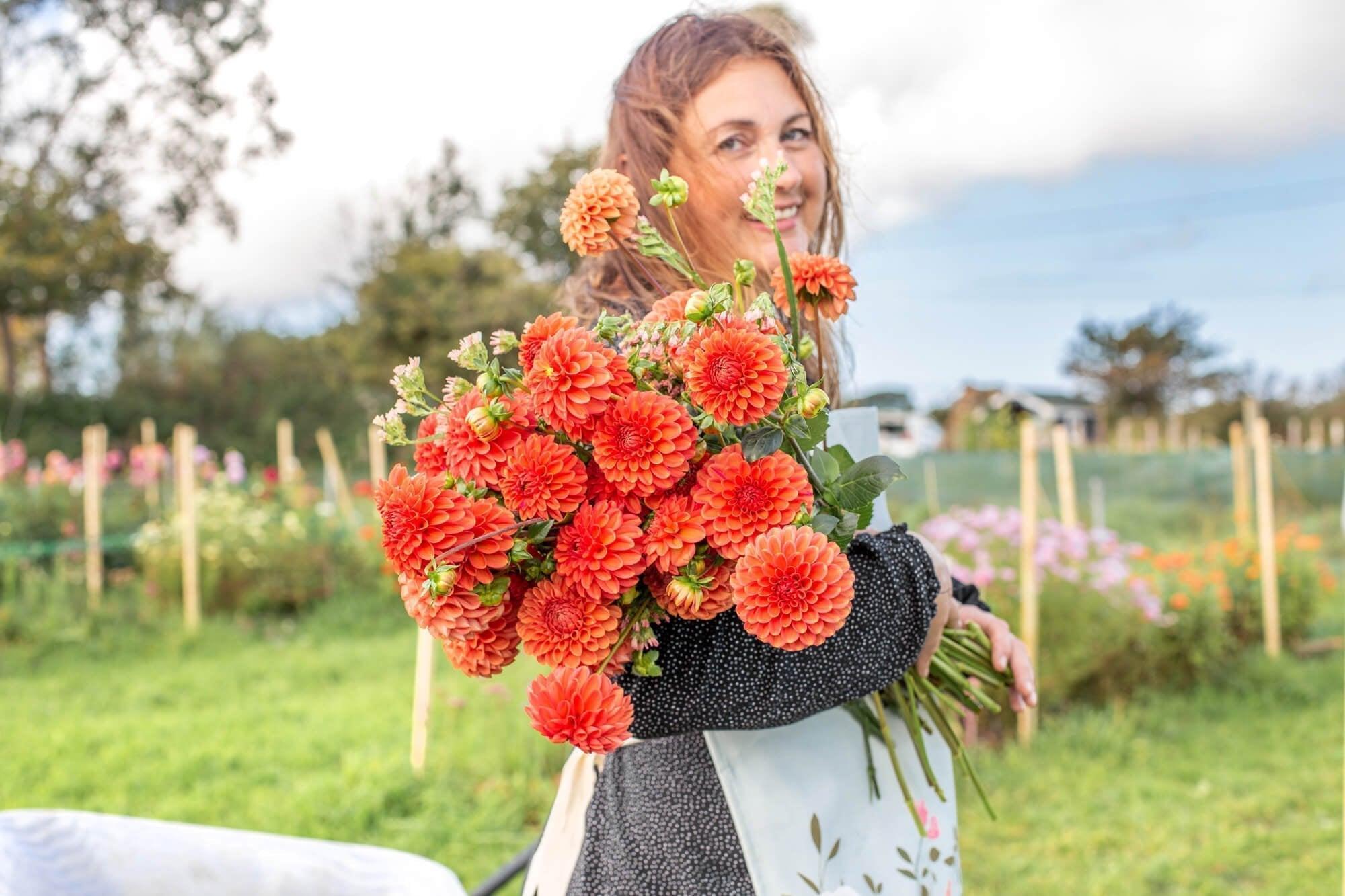 Pick your own flowers at The Cornish Flower Patch – Whistlefish