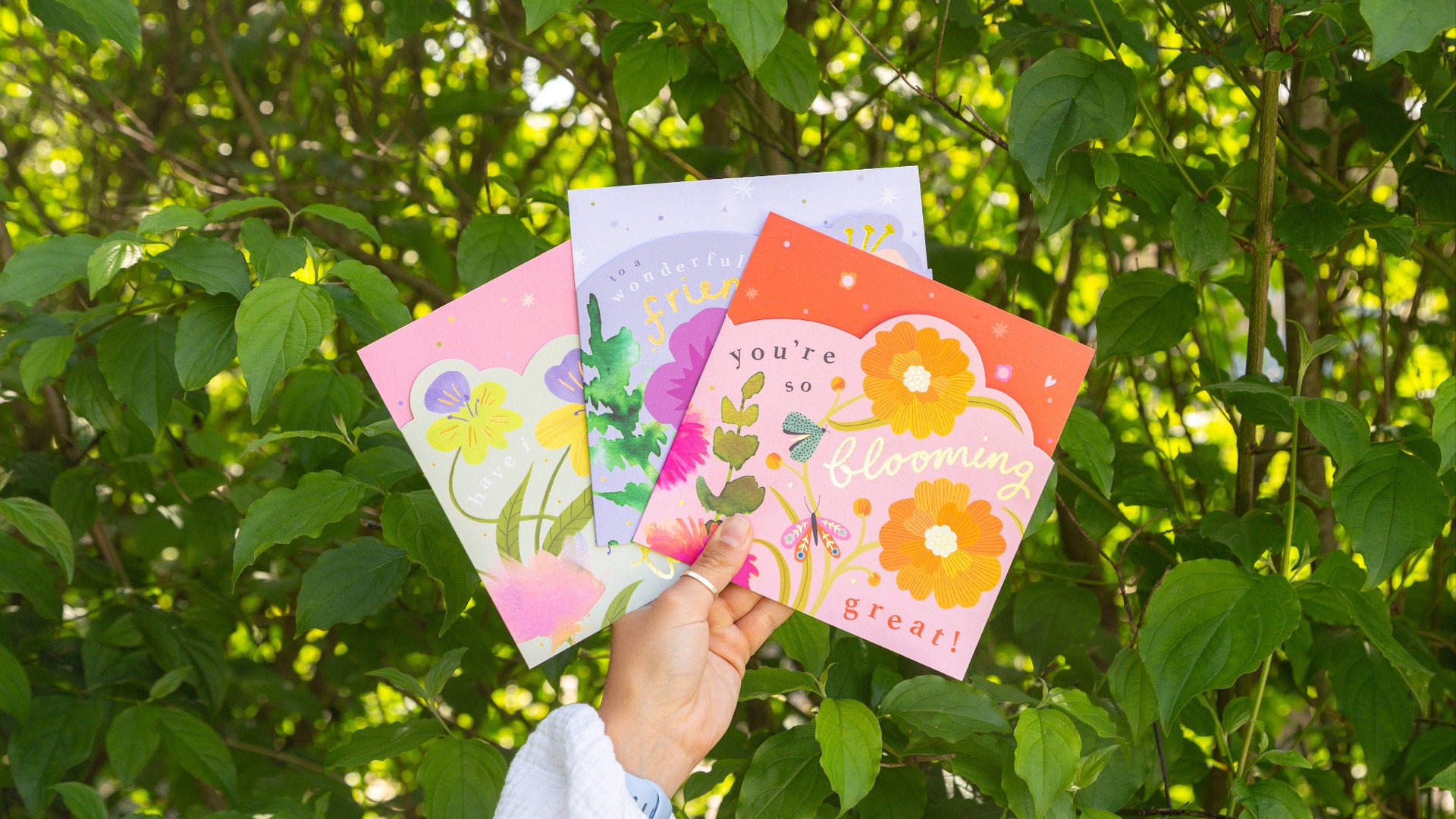 Beautifully designed greetings cards from Cornwall – Whistlefish
